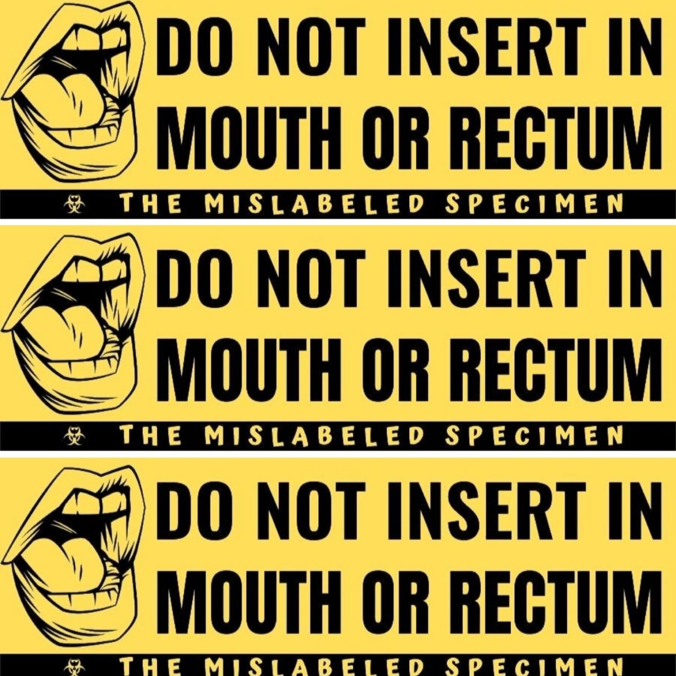 Do Not Insert in Mouth or Rectum Gag Label Stickers 1" x 2.625 ...