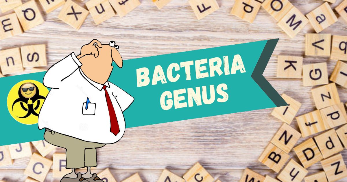 Word Scramble: Bacteria Genus - The Mislabeled Specimen Fun and Games